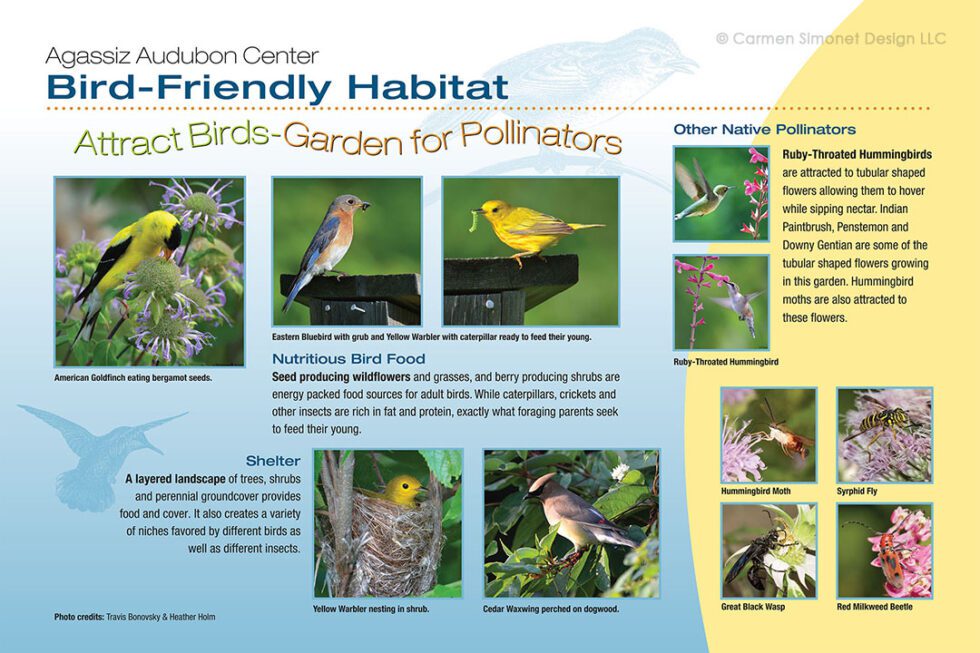 NW Minnesota Pollinator Garden - Simonet Design