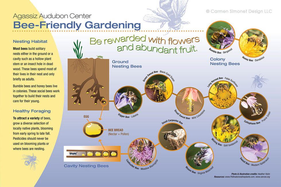 NW Minnesota Pollinator Garden - Simonet Design